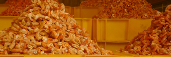 Too Much Shrimp, or, The Curse of the MOQ - Berkeley Sourcing Group